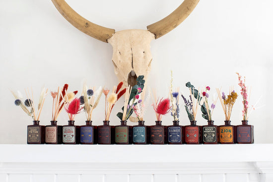 National Park Reed Diffusers – Good & Well Supply Co.