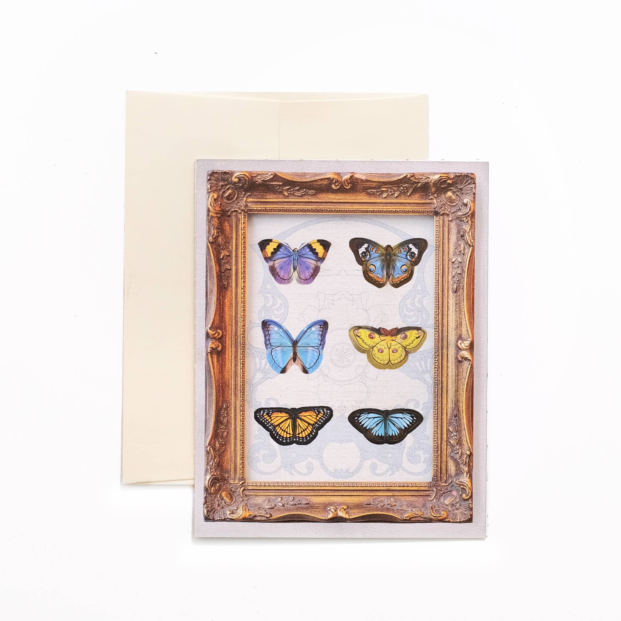 'Sunny' Mini Butterfly 'Pop-Out' Greeting Card – Good & Well Supply Co.